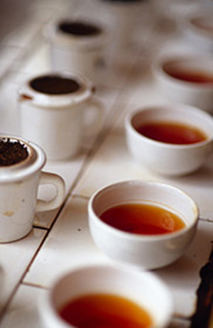 QUALITY & FLAVOR | Octavia Tea