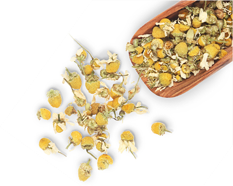 Organic Loose Leaf Tea | Wholesale Tea Supplier | Octavia Tea | Octavia Tea