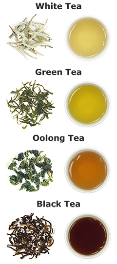 TYPES OF TEA | Octavia Tea
